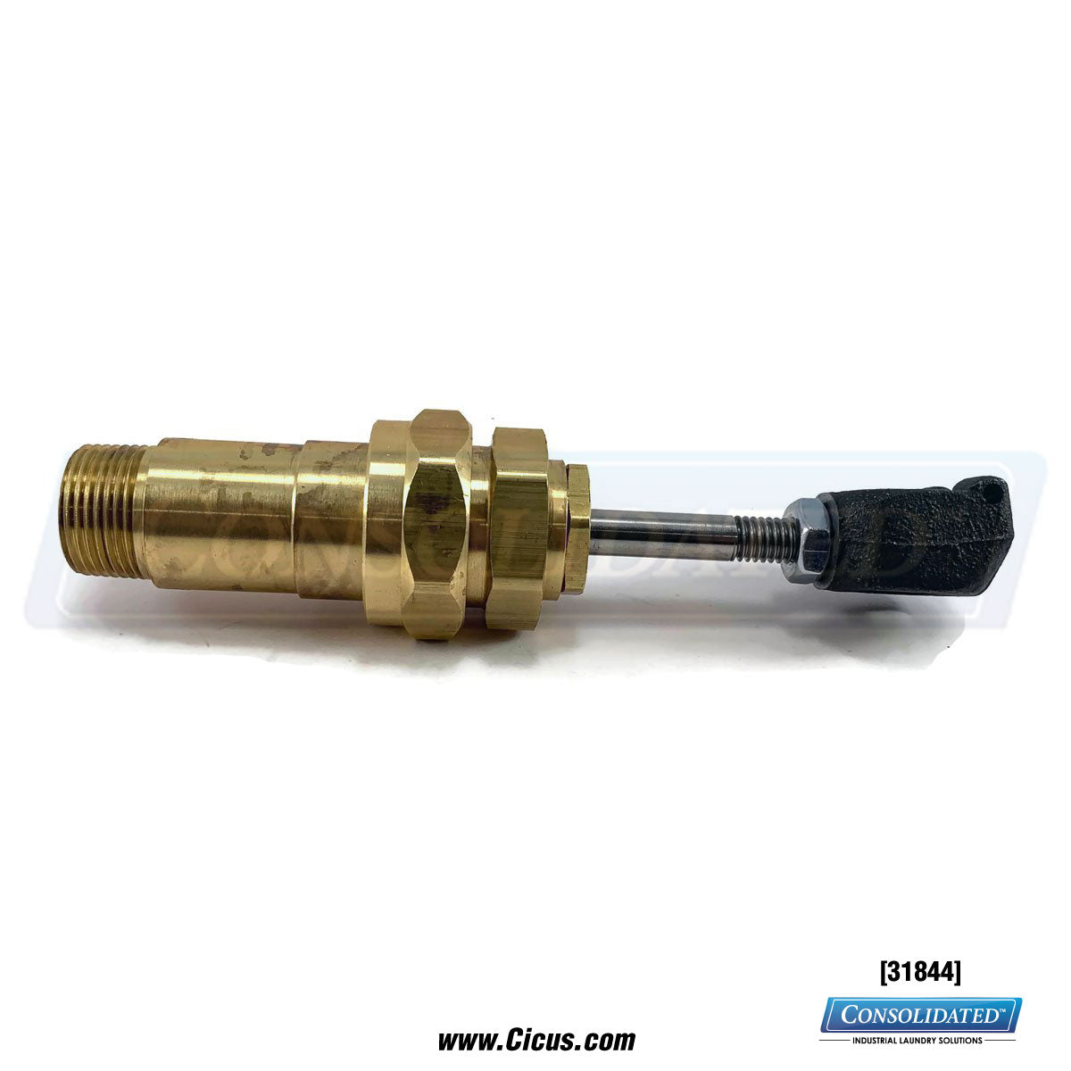Forenta Head Steam Valve [31844] - Consolidated International Corporation USA